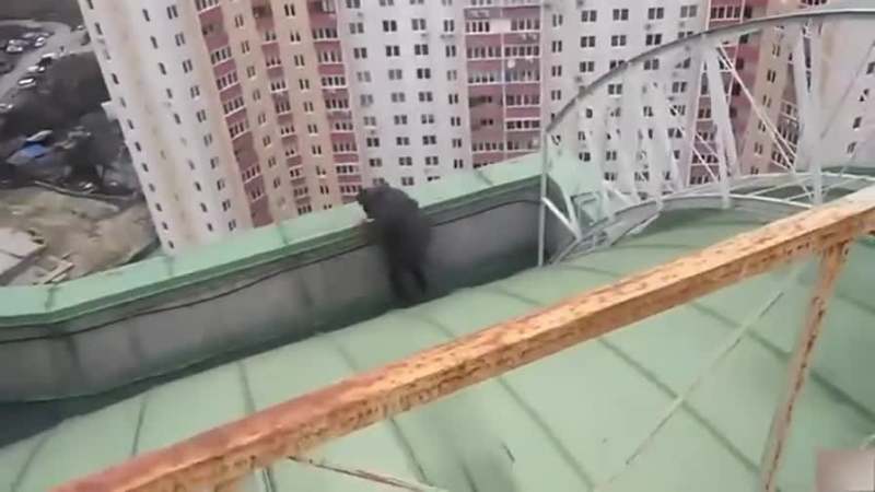 太恐怖!极限运动失误集锦 接近死亡的10个瞬间