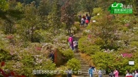 广东石门国家森林公园宣传片