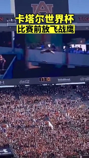 卡塔尔世界杯,比赛前放飞战鹰,场面震撼。#卡塔尔世界杯 #2022...