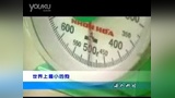 惊!世界上最小的可爱狗狗!