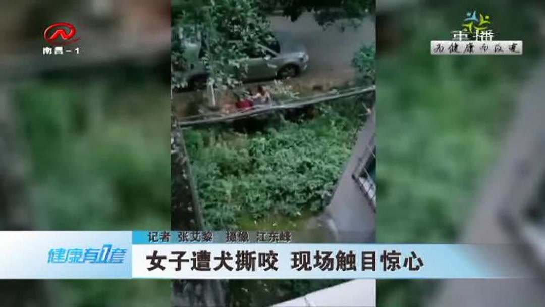 女子遭犬撕咬 现场触目惊心