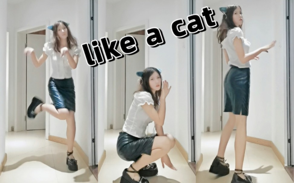 一只练习时长两小时半的小猫 AOA like a cat 猫步轻悄翻跳