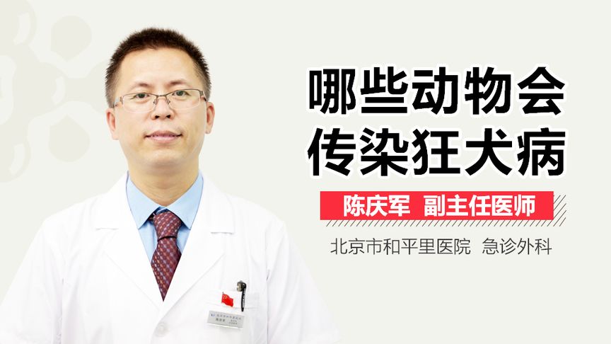 哪些动物会传染狂犬病?