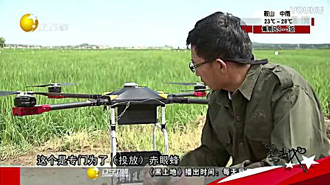 辽宁省植保站使用无人机投放赤眼蜂防治二化螟