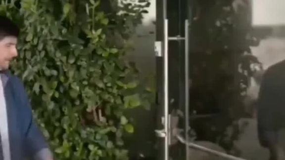 病毒是怎么传播的太可怕了
