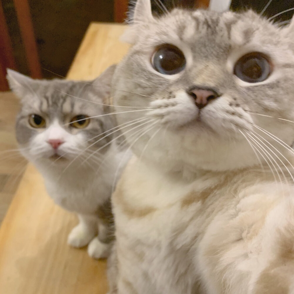 爱吃糖的剪辑酱 