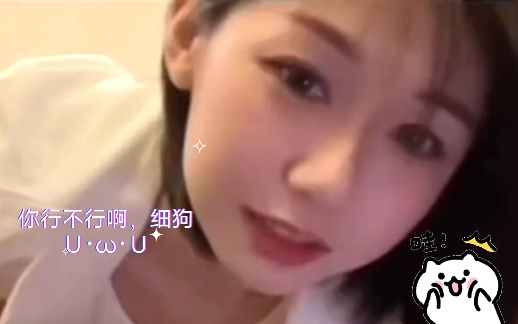 你行不行啊,细狗∪･ω･∪