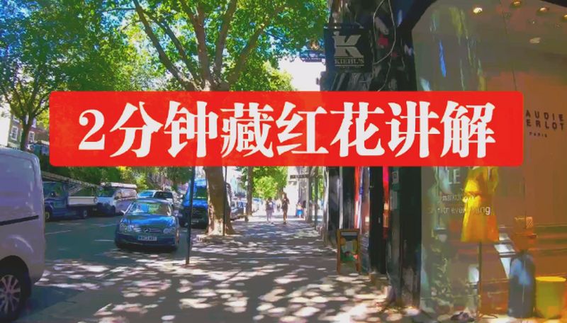 藏红花的功效?今天与您分享藏红花的功效是什么