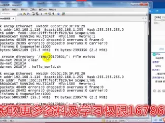 Linux学习—Shell编程入门实战