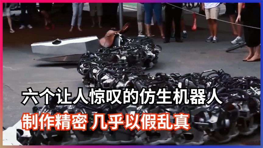 六个让人惊叹的仿生机器人,制作精密,几乎以假乱真