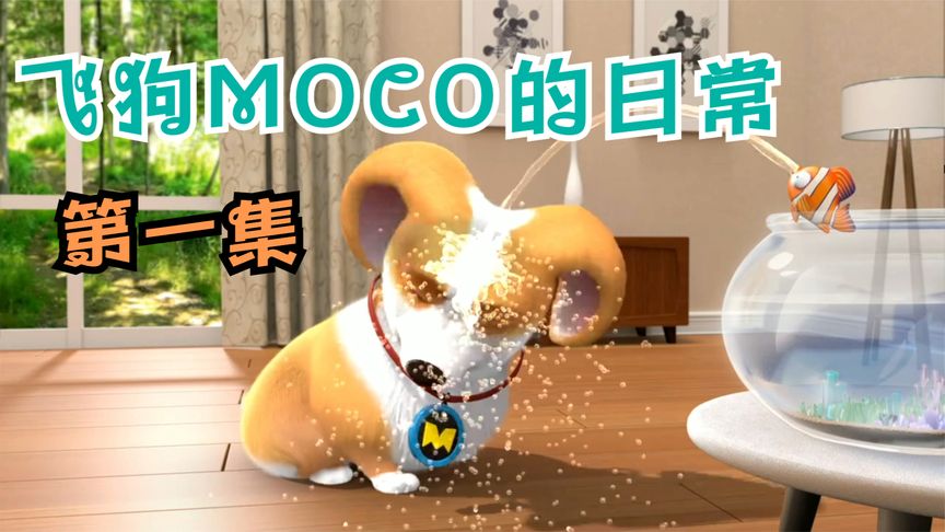 趣看动画 飞狗MOCO的搞笑日常 小主人气到炸毛