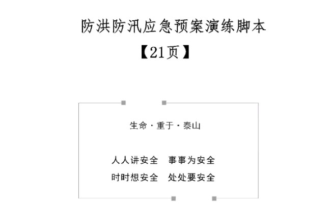 防洪防汛应急预案处置方案演练模版21页文档 #防洪防汛 #雨季 #防汛