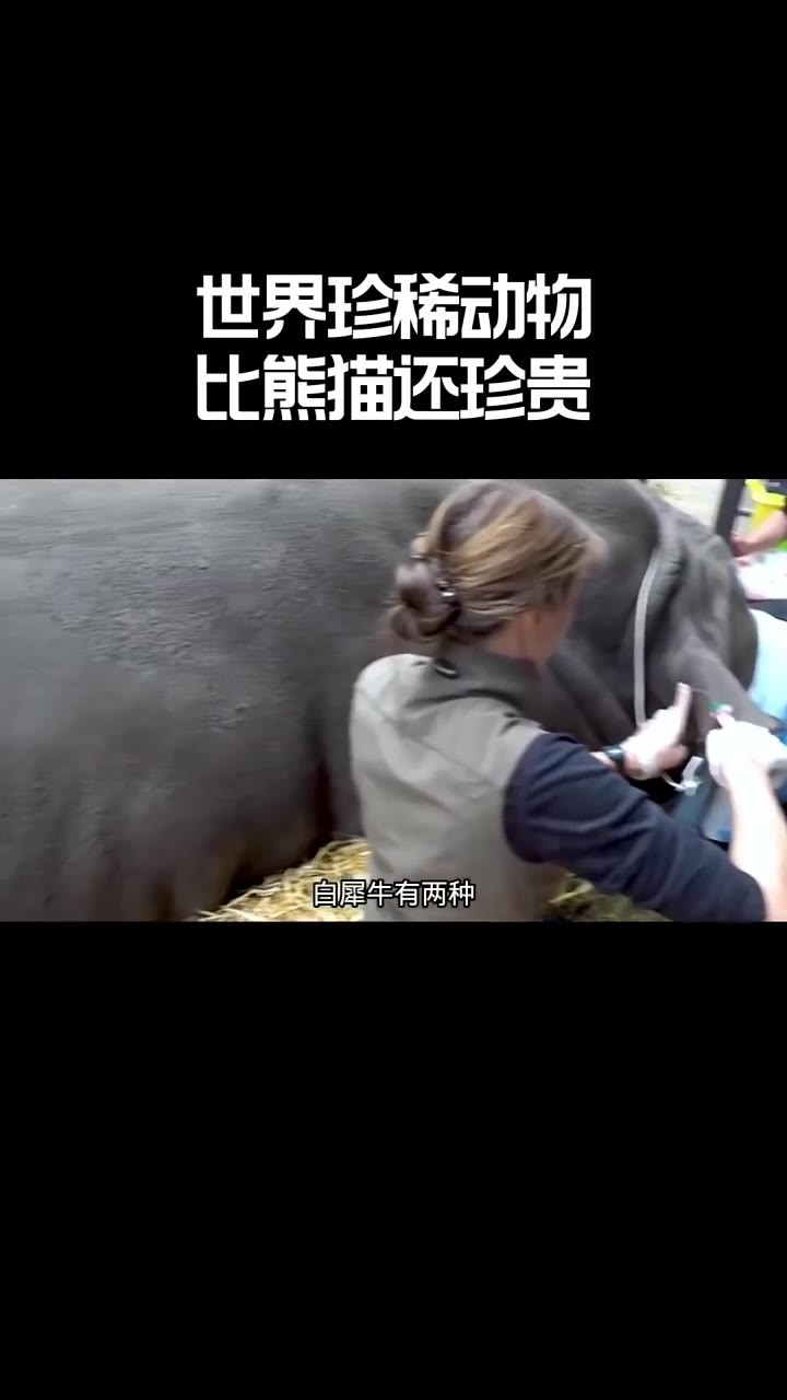你知道世界上最稀有的动物是哪几种吗?