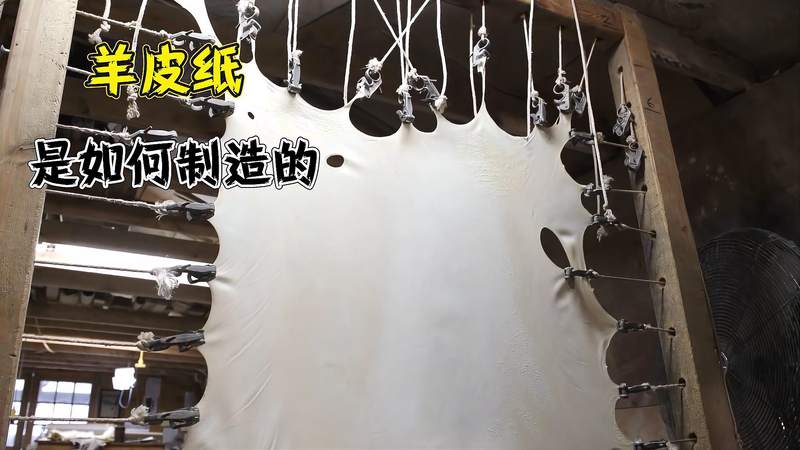 羊皮纸是如何制造的,真的需要那么多羊皮吗?