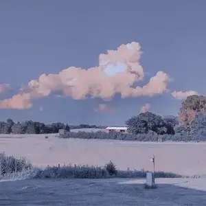 倾昕读书 