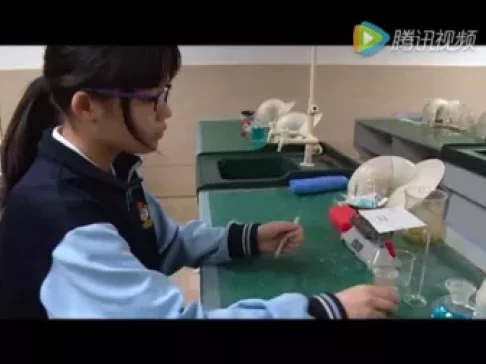 中考化学实验——质量守恒定律的试验探究