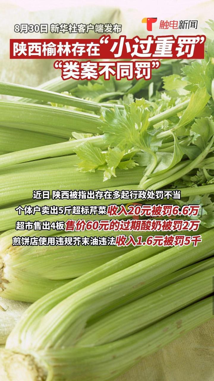 ...针对小微市场主体的行政处罚,存在"小过重罚""类案不同罚"等问题