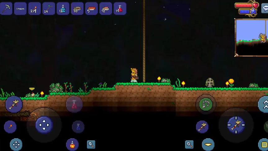 泰拉瑞亚:探索丛林