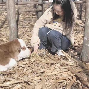 明子记录生活 