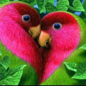 托马斯妈妈在荷兰 