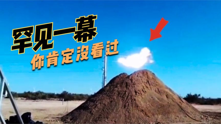 拍到罕见一幕,你肯定没看过