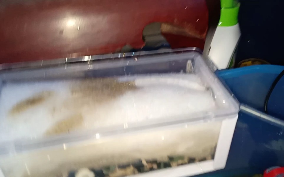 开箱龟缸过滤器