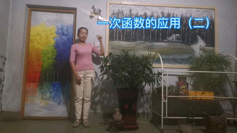 初二数学典型例题,一次函数的应用(二)