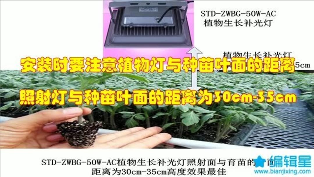 微型植物工厂应用在温室大棚中方法