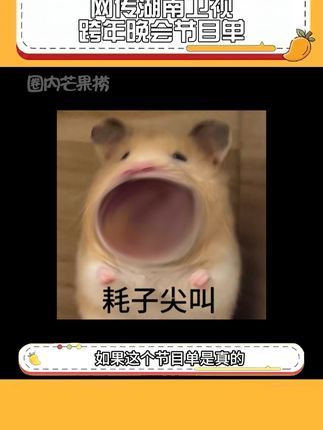 #网传湖南卫视跨年晚会节目单 如果这个节目单是真的 收视率不得爆表...