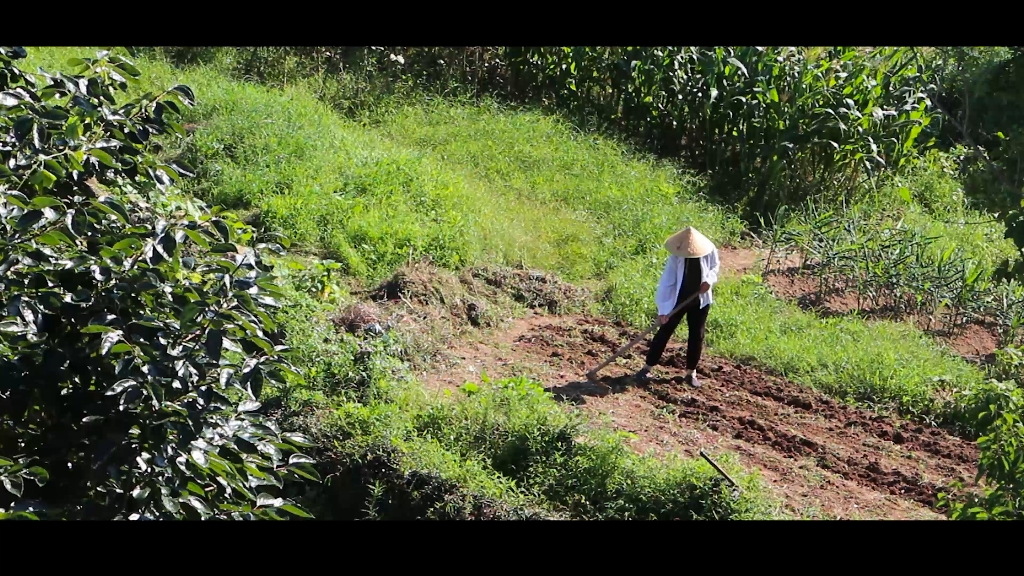 “数联乡村,信系净土”暑期社会实践团队制作的信干山村宣传片