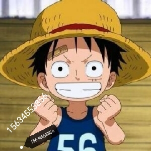 路飞是海贼王222 