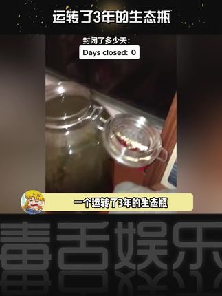 一个运转了3年的生态瓶,会不会地球也是"别人"培育的生态系统