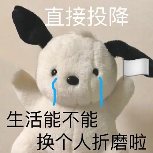 金桔萱子 