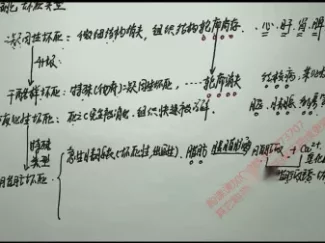 病理学第01章细胞和组织的适应与损伤5(6.24下午)