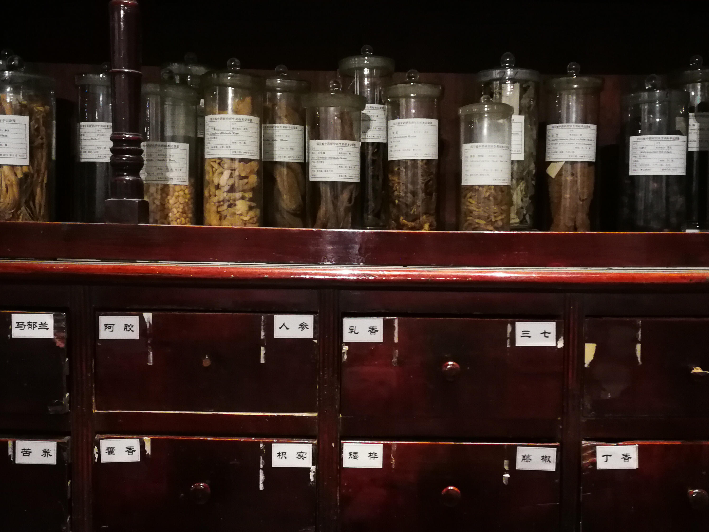 30秒|山药当归枸杞GO 省图展出的这些中药你都认识吗?