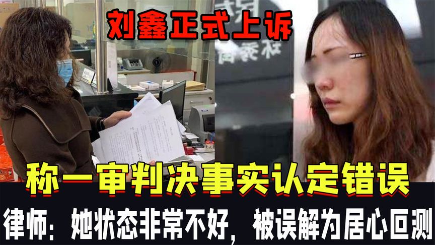 刘鑫正式上诉,称一审判决事实认定错误,律师:她状态非常不好