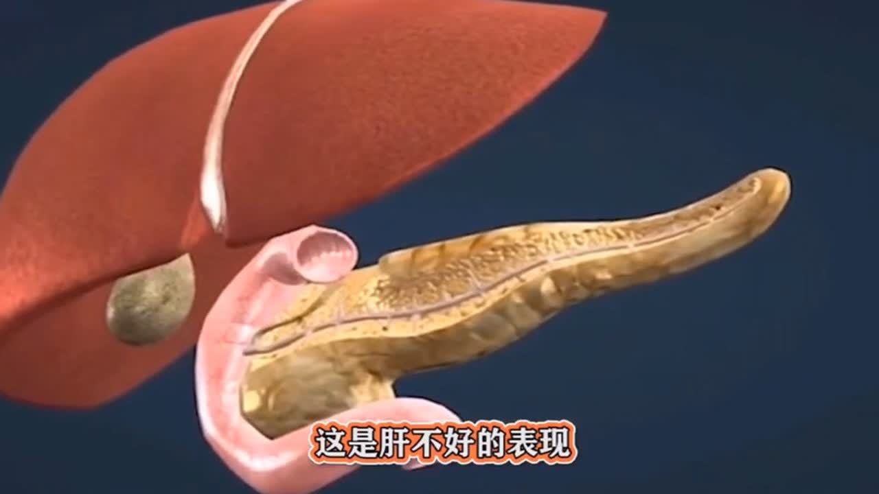 西安莲湖北大医院专家介绍出现肝病之前的...