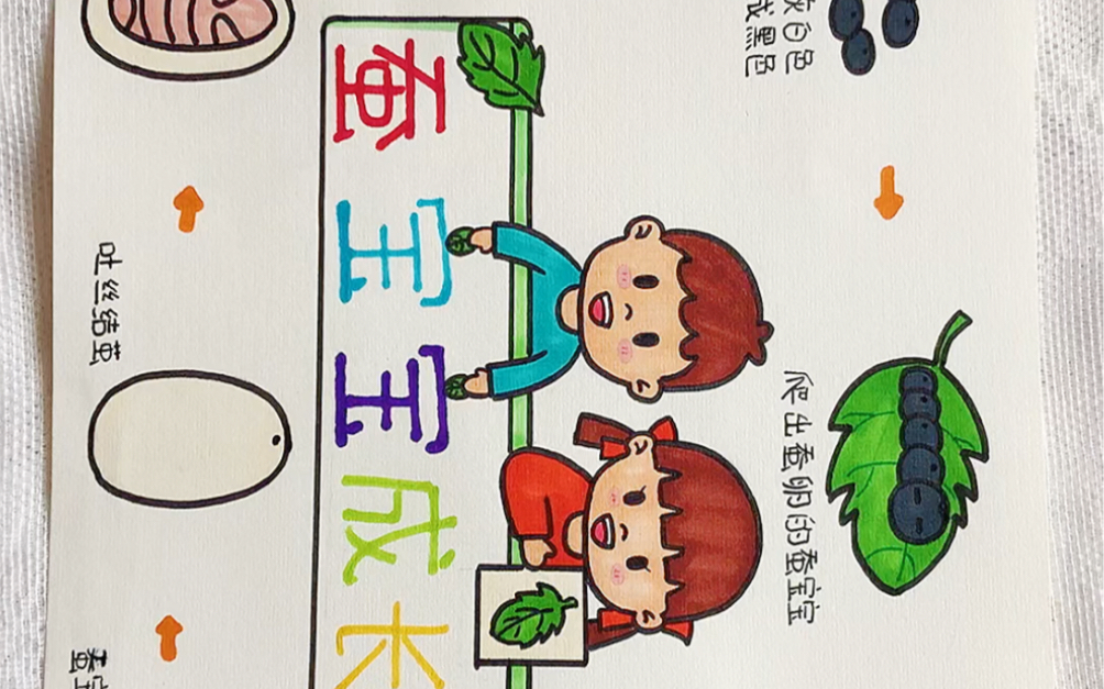 蚕宝宝成长记手抄报