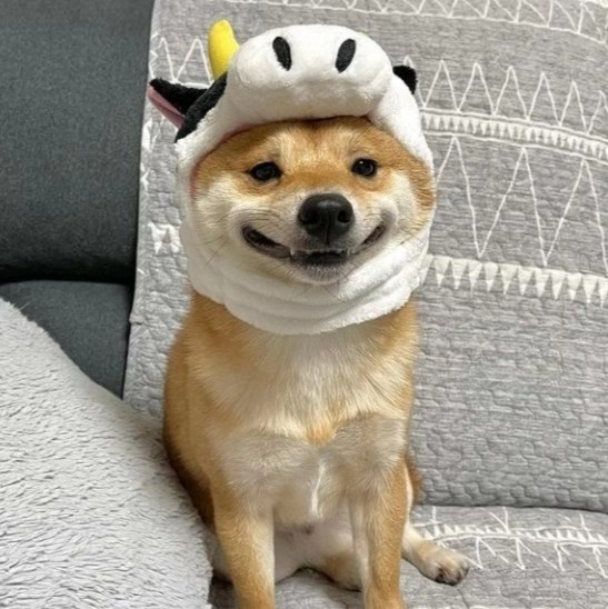 早睡早起_fany 