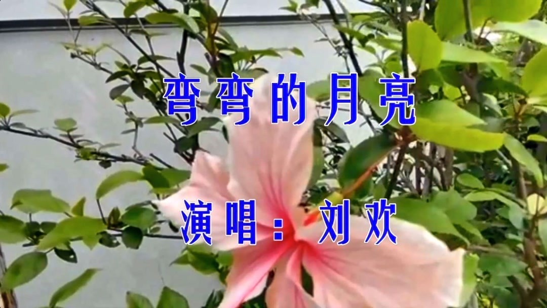 一首经典民谣《弯弯的月亮》演唱刘欢,永恒的经典,难以忘记!