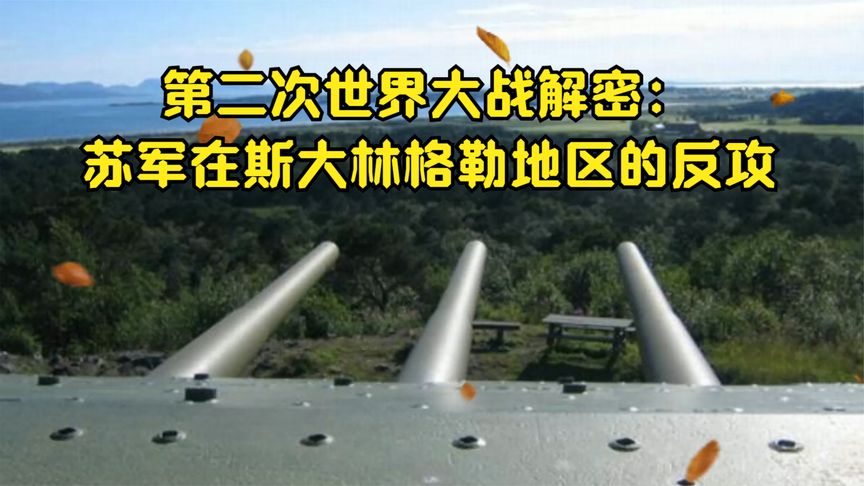 第二次世界大战解密:苏军在斯大林格勒地区的反攻