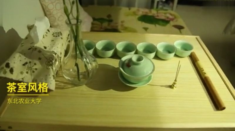 2017高校宿舍装修“白皮书”,只有不敢想的,没有不敢装的