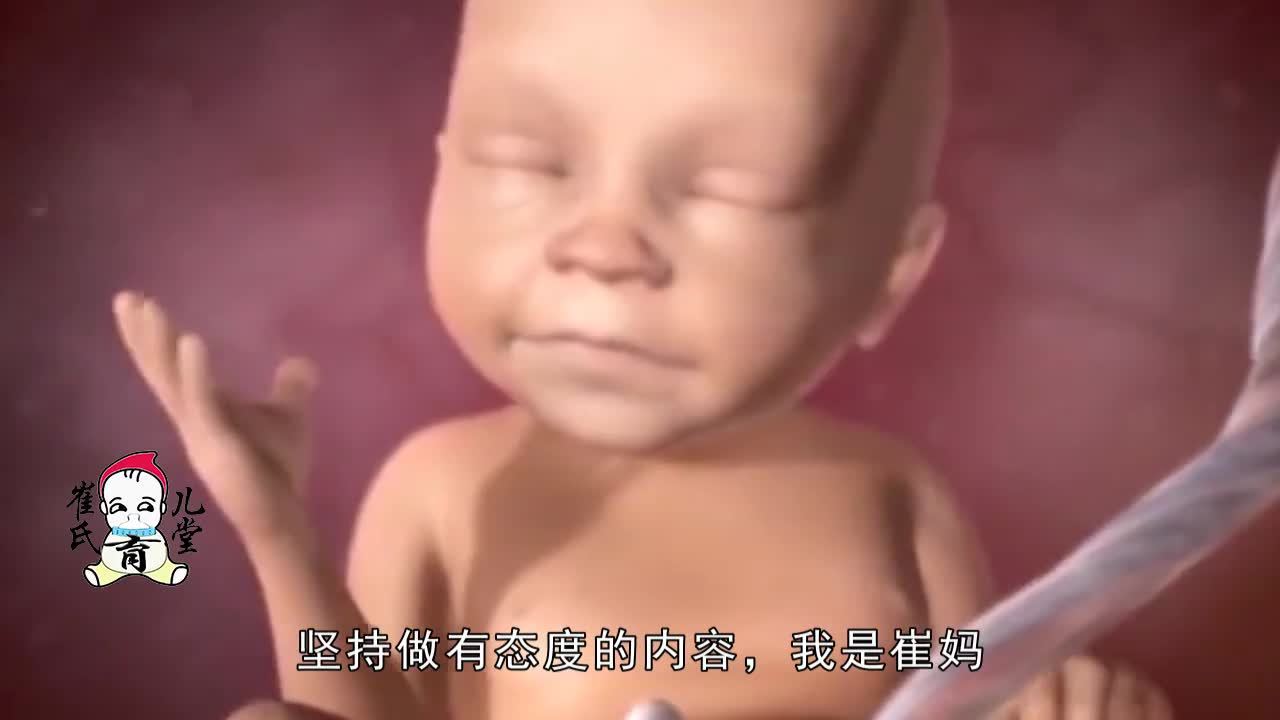 从受精卵发育成胚胎,孕早期三个月胎儿
