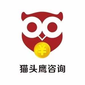 猫头鹰咨询猫叔 