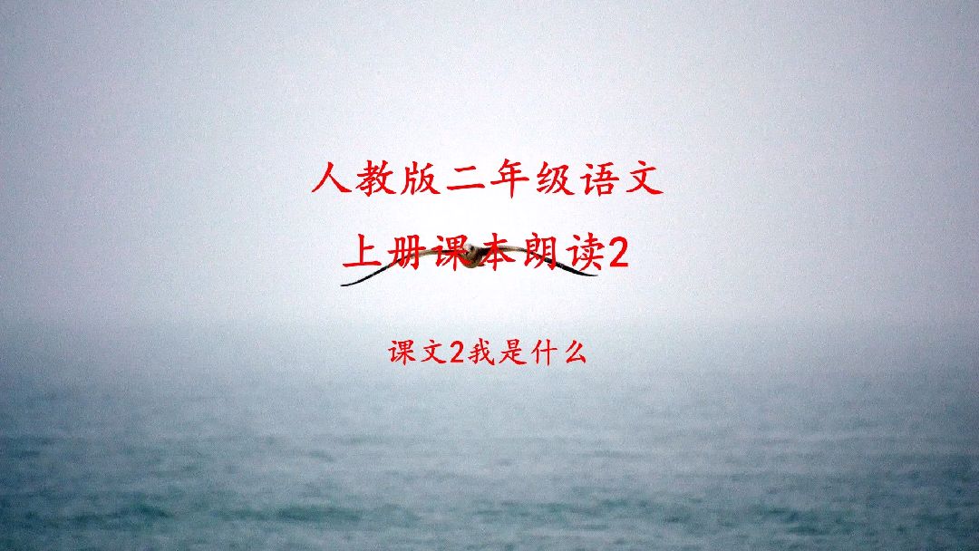 人教部编版小学二年级语文上册课本朗读 我是什么 教材课文朗诵视频 ...