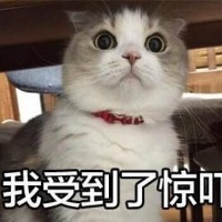 IT优就业秒懂课堂 