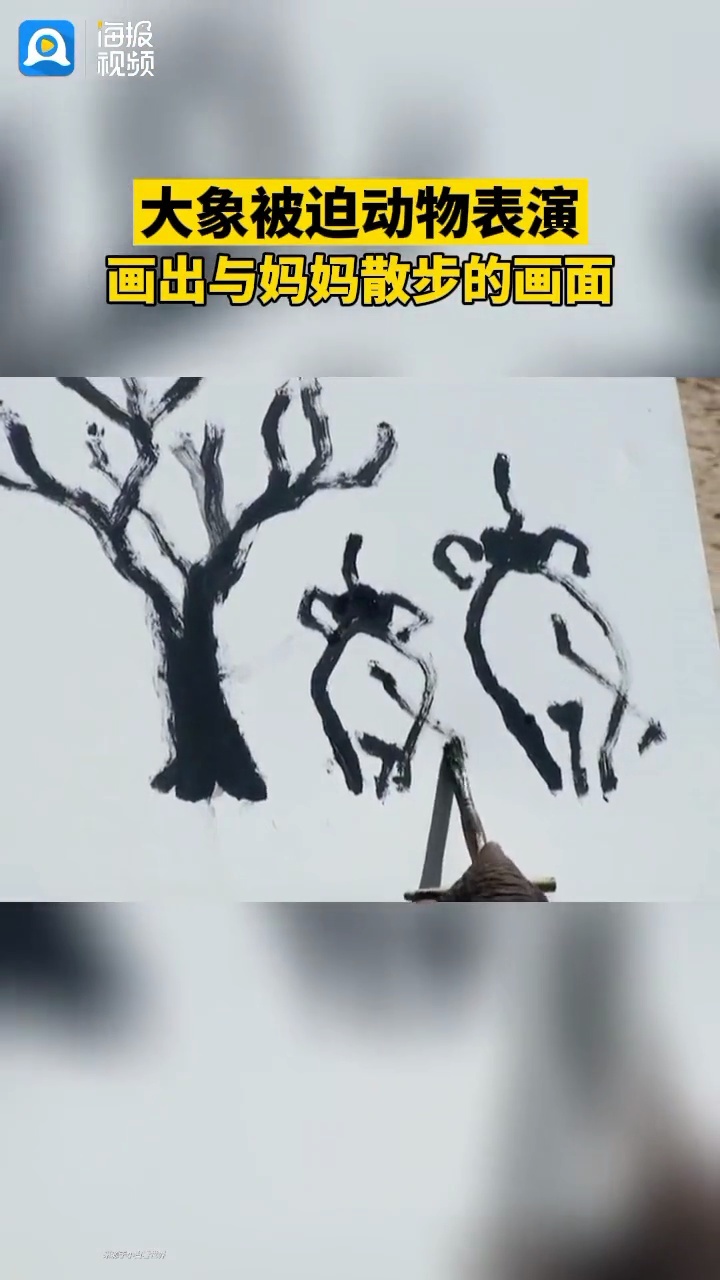 大象表演的背后,究竟有多残忍?