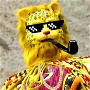 六哥爱钢枪 
