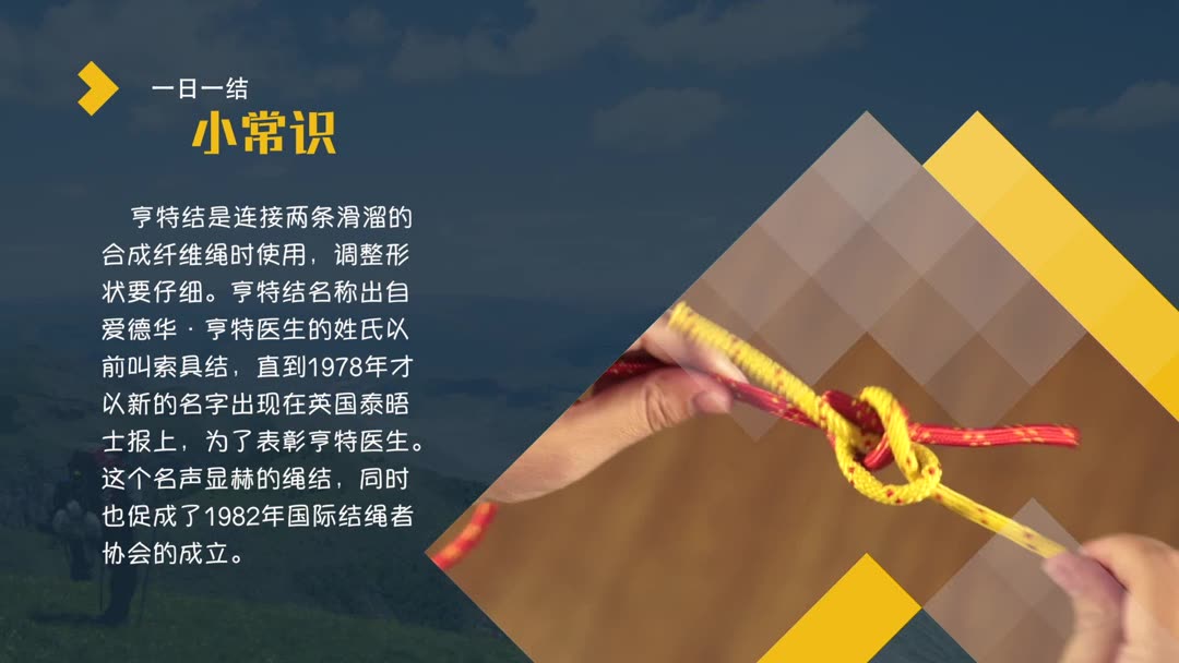 一日一结 第六十四集 亨特结
