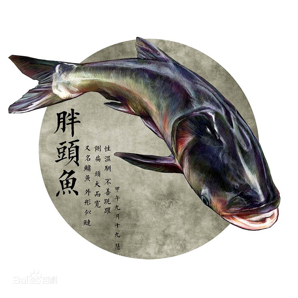 兴趣爱好广泛的一个人 